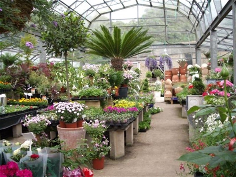 lifestyle-plant-wholesaler-only-one-in-nz-for-sale-in-manukau-city