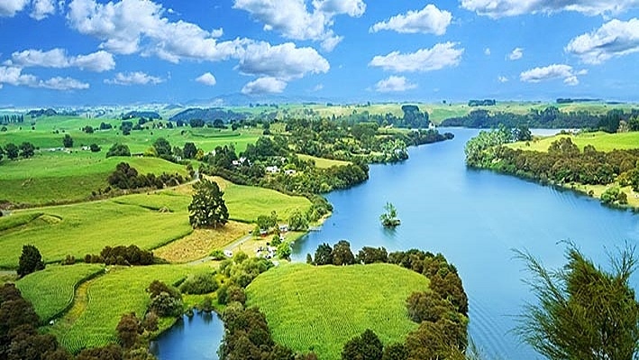Waikato